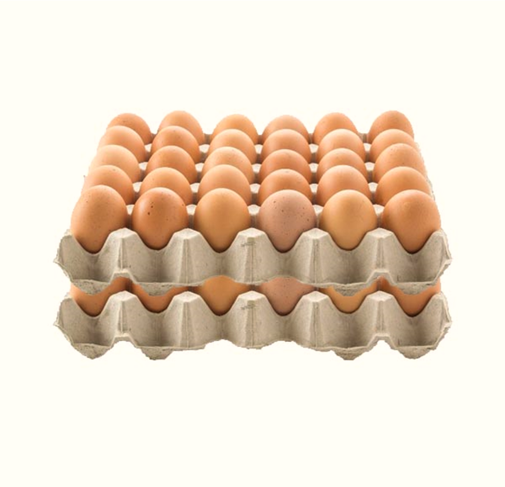 Desi Eggs Pure and Natural | Organic Desi Eggs | Desi Eggs Tray