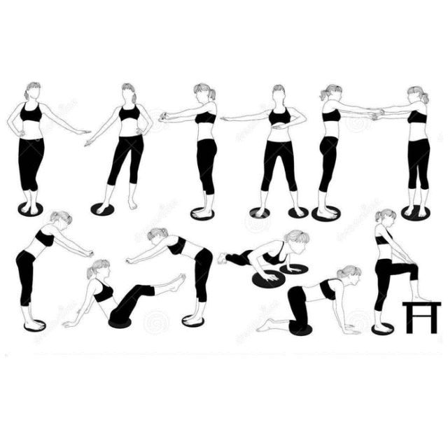 AB Twister Disc For Body Shape and Exercise Waist Twisting Balance Disc