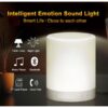 Touch Lamp Bluetooth Speaker CL-671 Portable Smart Lamp With Speaker